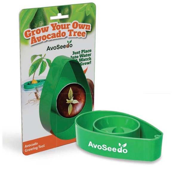 AvoSeedo | Kitchen | Avocado Growing Tool By Avoseedo Nwt | Poshmark